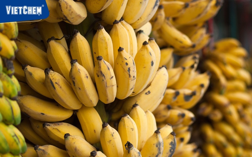 Tìm hiểu về đất đèn (CaC2) | Đặc điểm và Ứng dụng thực tế